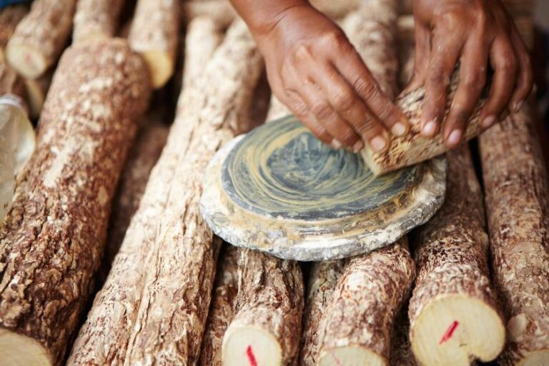 Burmese Thanaka – the All Natural Suncare | cosmetech.co.in