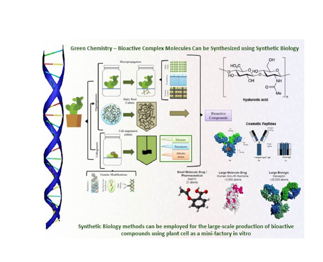 NEW INNOVATIONS IN GREEN CHEMISTRY THAT MAY IMPACT COSMETICS ...